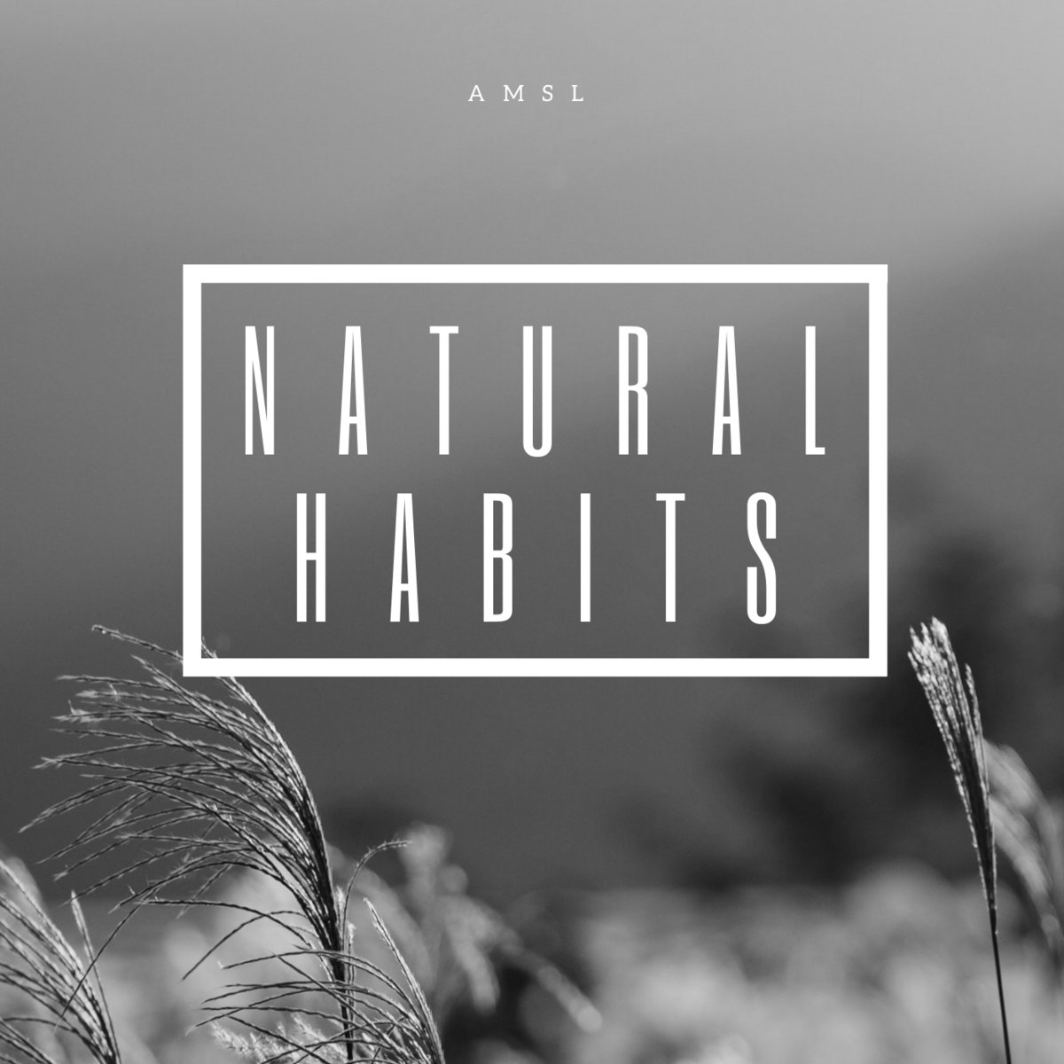 Natural Habits | Amsl