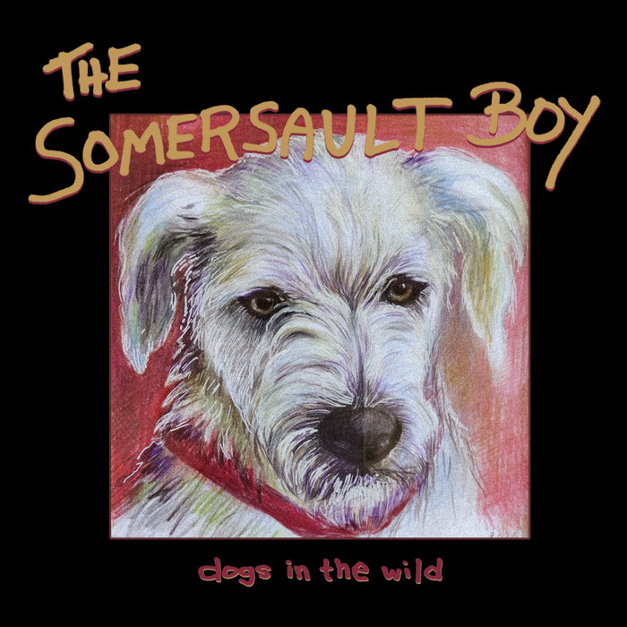 Dogs In The Wild | The Somersault Boy