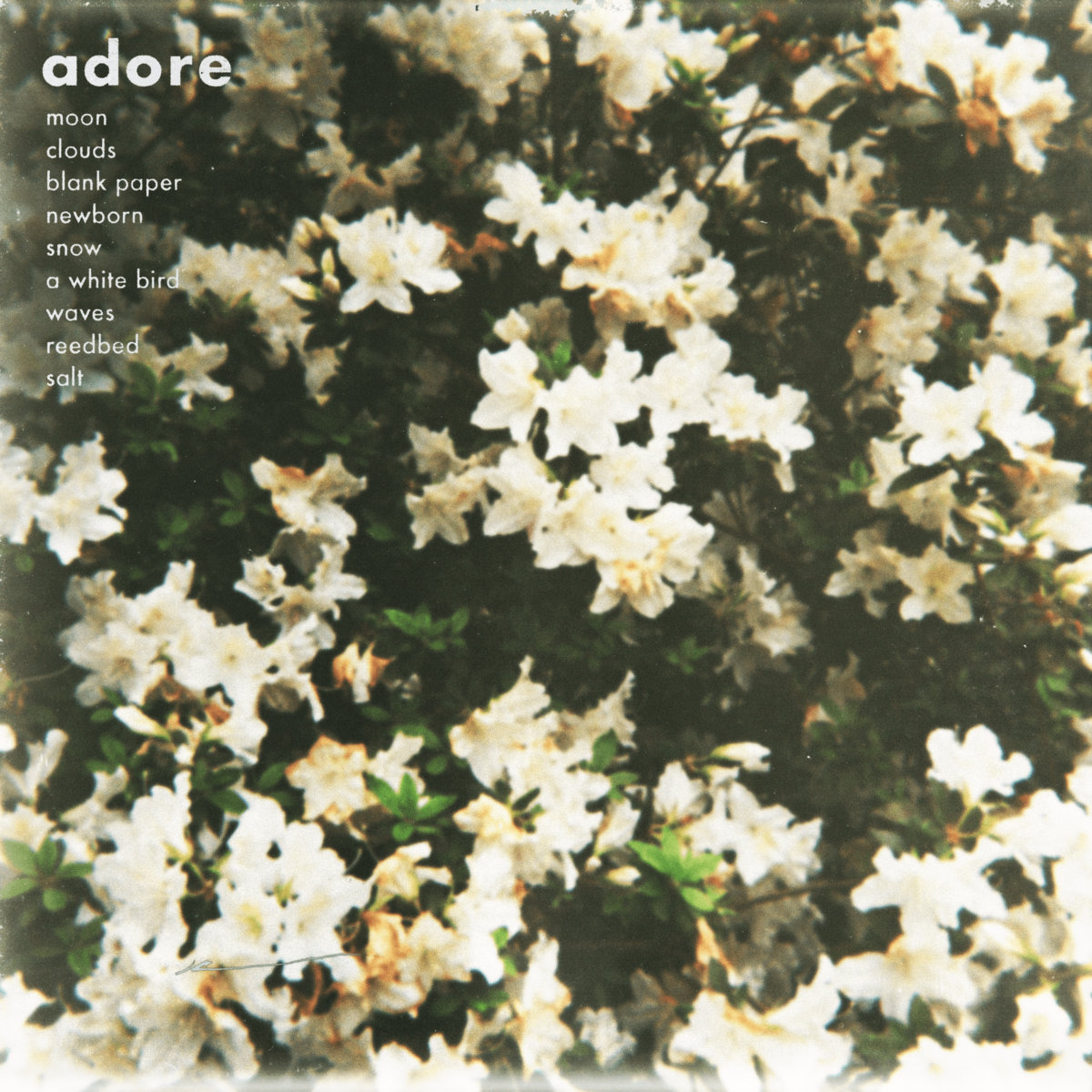 adore | adrian miles