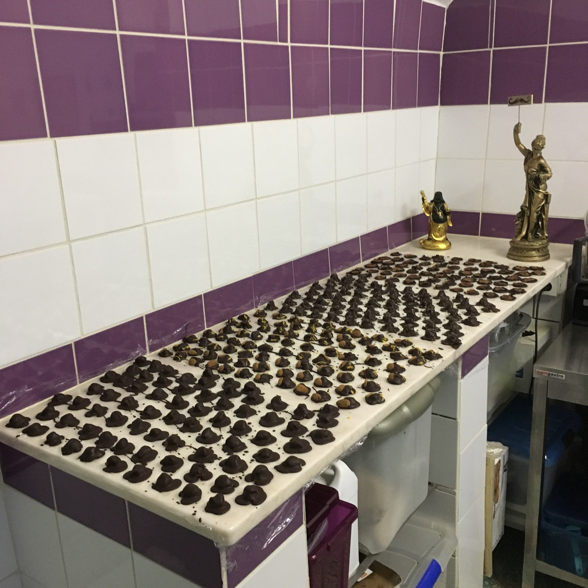 Et Cocos | Patrick Lyons MeU