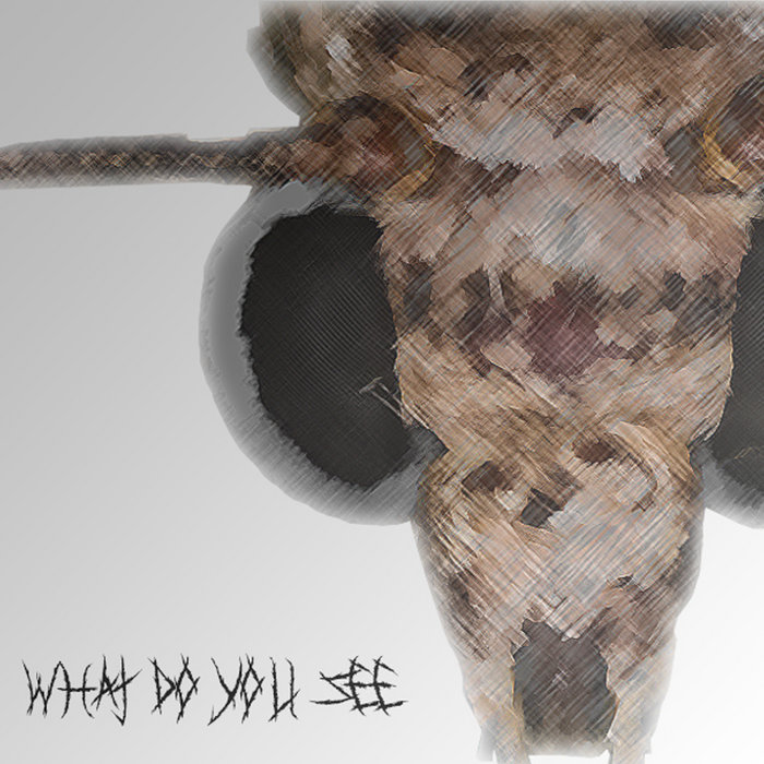 What Do You See? | Deaf Moth