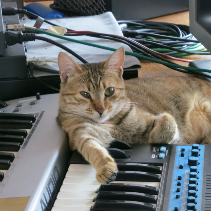 Lovely Lucia | Musician´s Muse | musician´s muse