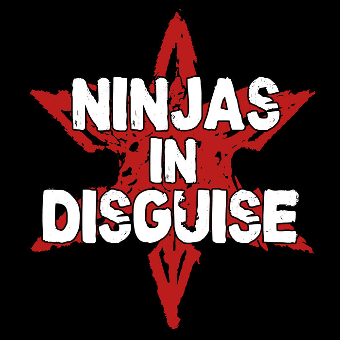Ninjas In Disguise | Ninjas In Disguise