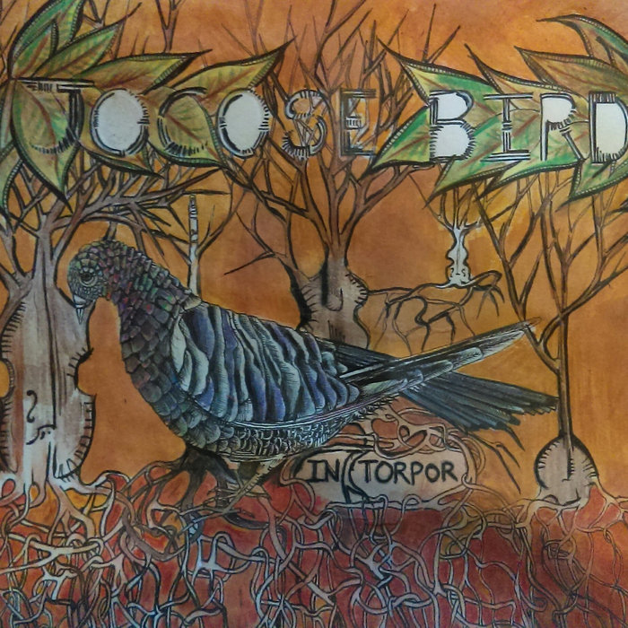 In Torpor | Jocose Bird