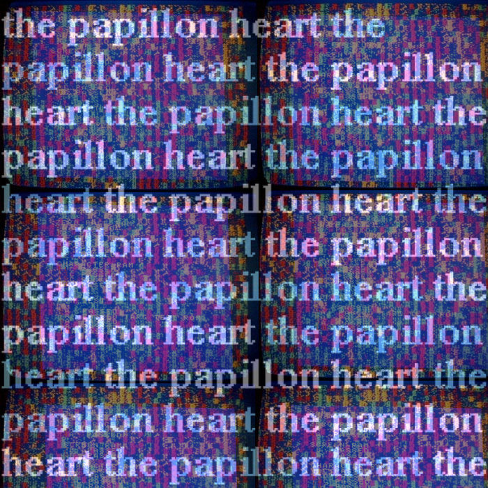 the papillon heart | AdjObj