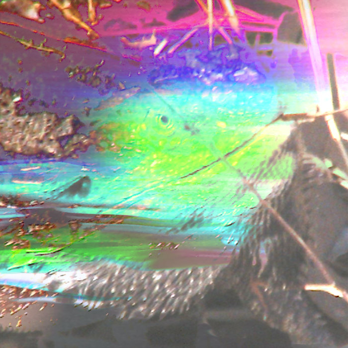 Celestial | Natiform