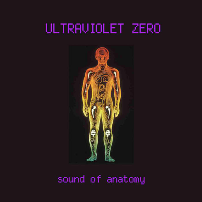 Solar Plexus Anatomy