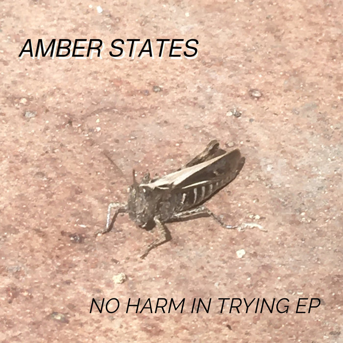 No Harm In Trying EP | AMBER STATES