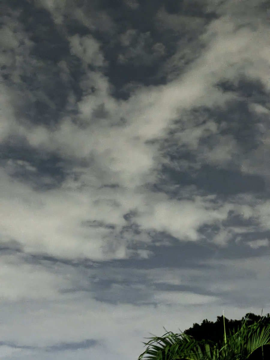 DR BEATS | LONEY MISTOLIN