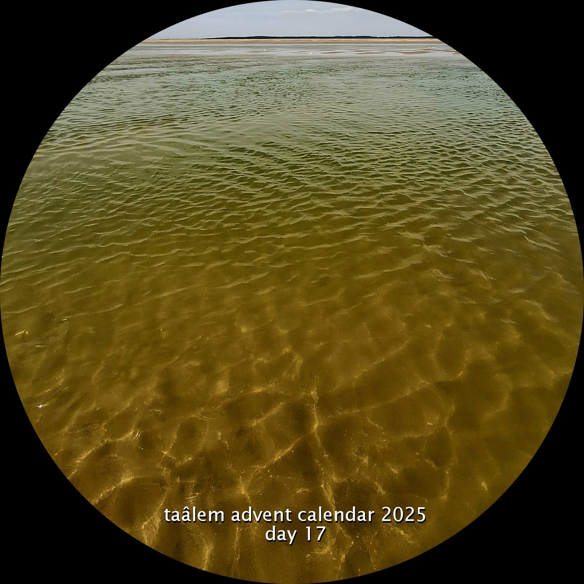 a low tide slender for my tiffany gray (taâlem advent calendar 2025 ...