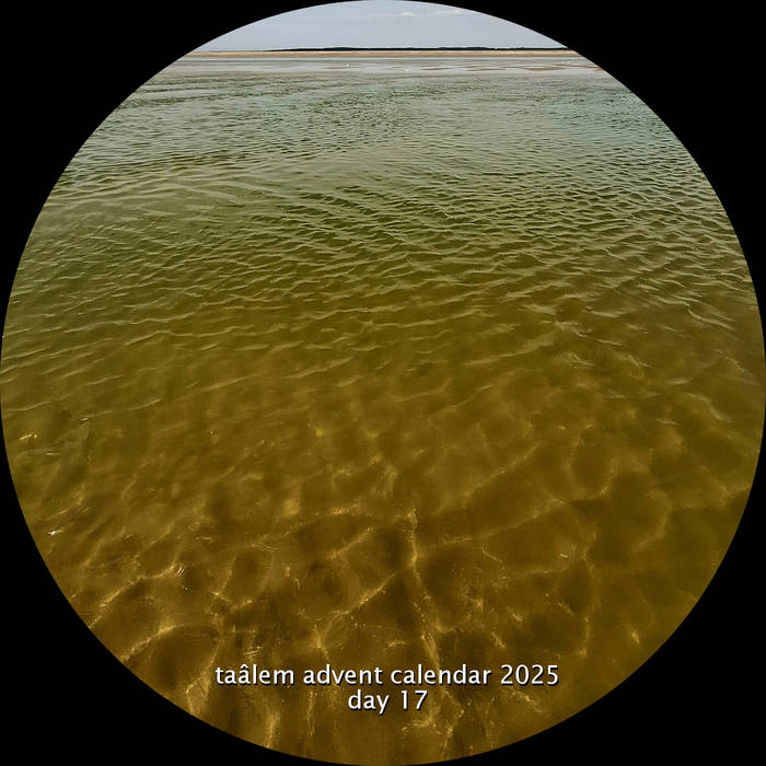a low tide slender for my tiffany gray (taâlem advent calendar 2025 ...