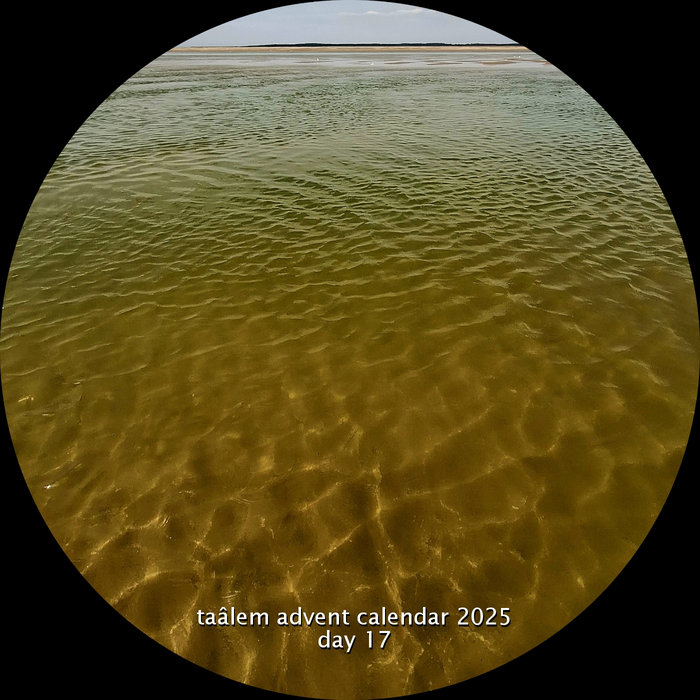 a low tide slender for my tiffany gray (taâlem advent calendar 2025 ...