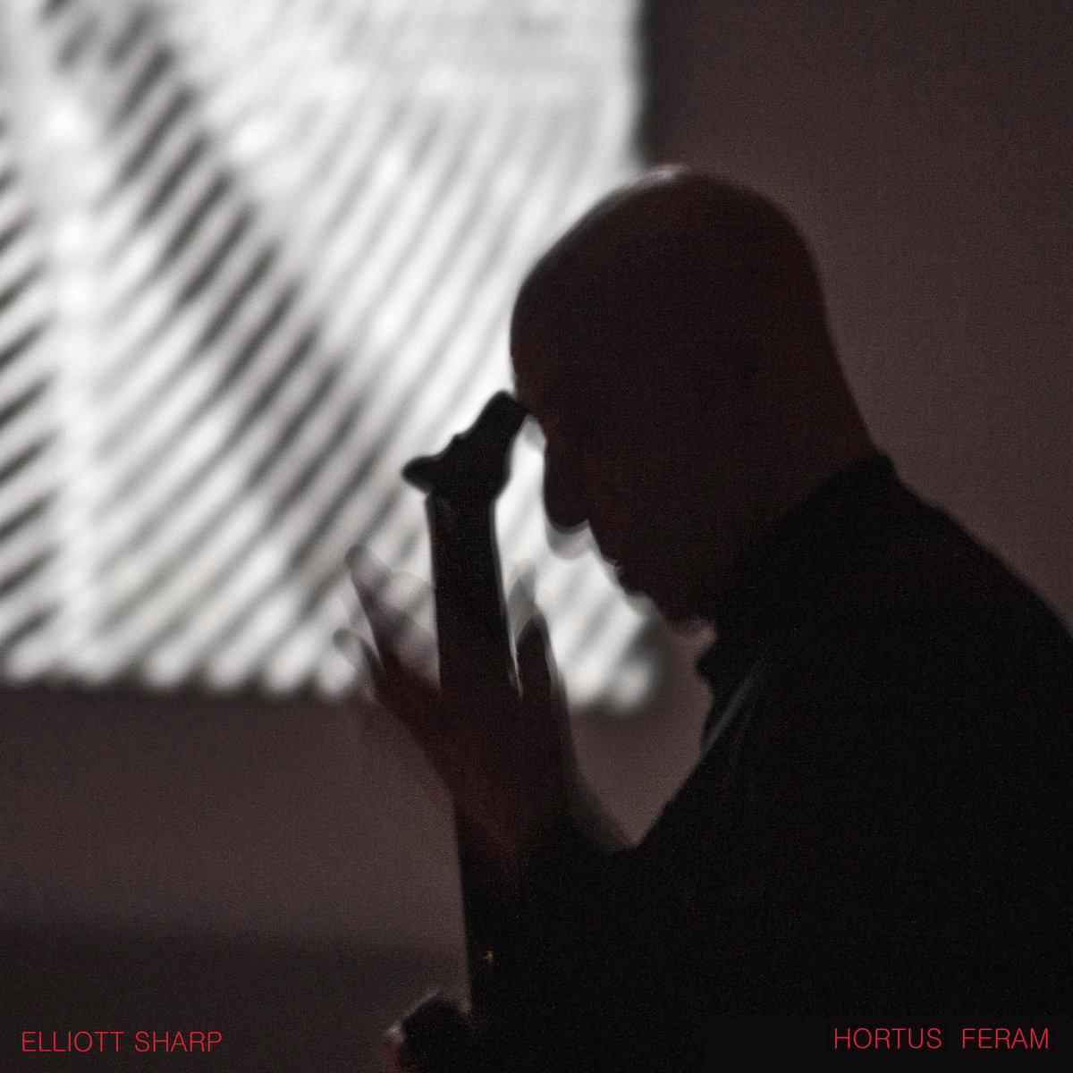 Hortus Feram - Rare & Unreleased Tracks | Elliott Sharp