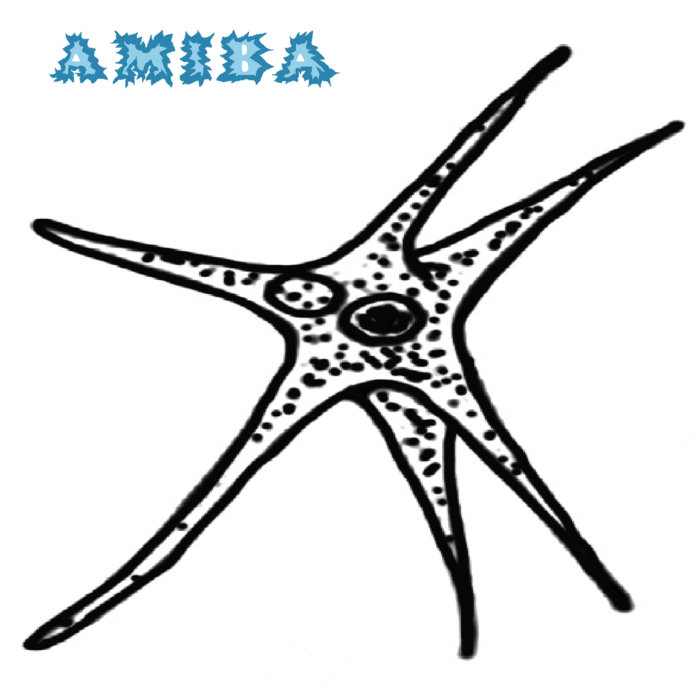 AMIBA | AMIBA