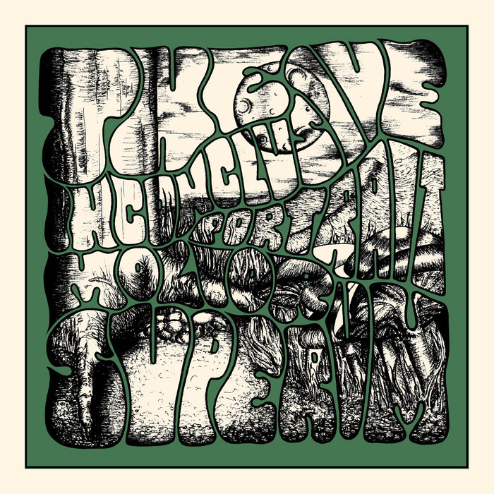 The Inconclusive Portrait | Molior Superum