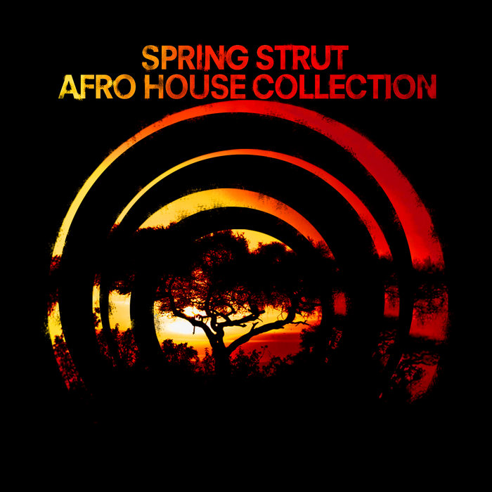 Afro House Collection | Various Artists | Spring Strut Recordings