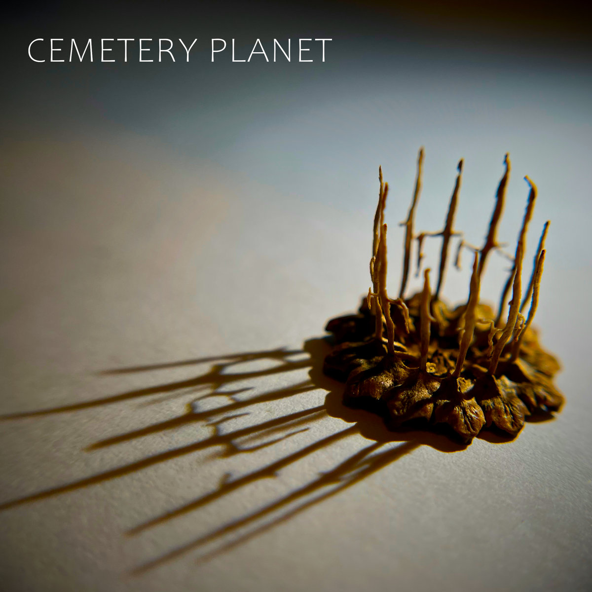 Cemetery Planet | Michael Bell