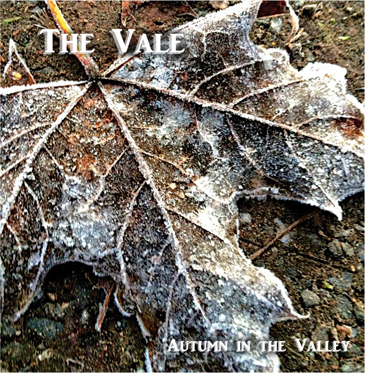 Autumn in the Valley | The Vale