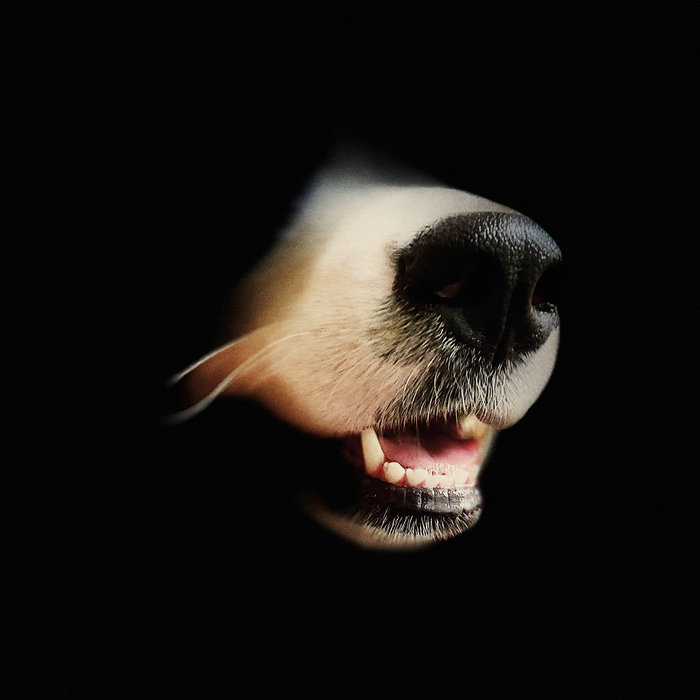 LOST PADRES | Scott Hirsch