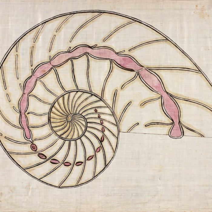 BAP | Andrew Voigt, Harold Carr, Gino Robair | haroldcarr