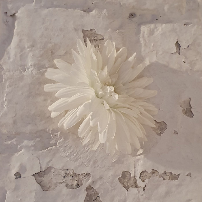 Zartes Weiß | Ingrid N