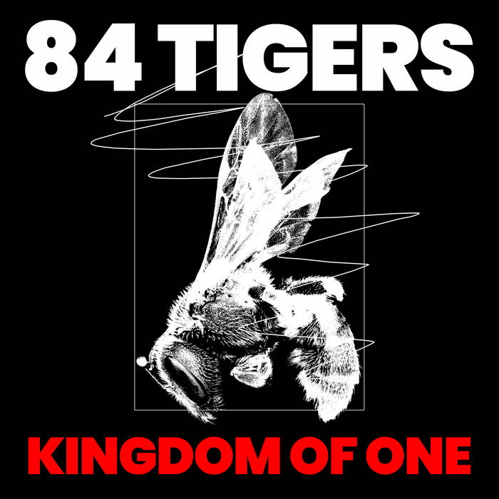 Music | 84 Tigers