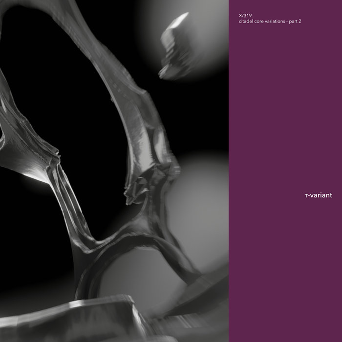 citadel core variations - part 2 | X/319