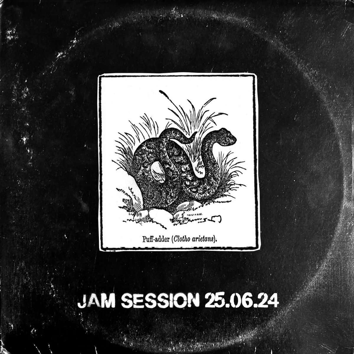 Jam Session 25-06-24 | The New Primitives