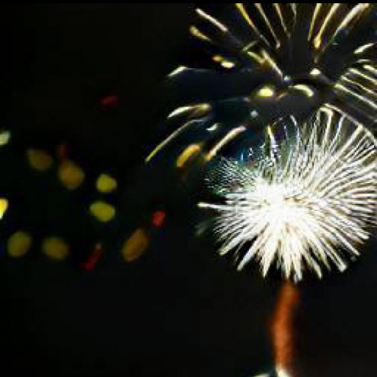 Jersey Giant | Cellar Boxing