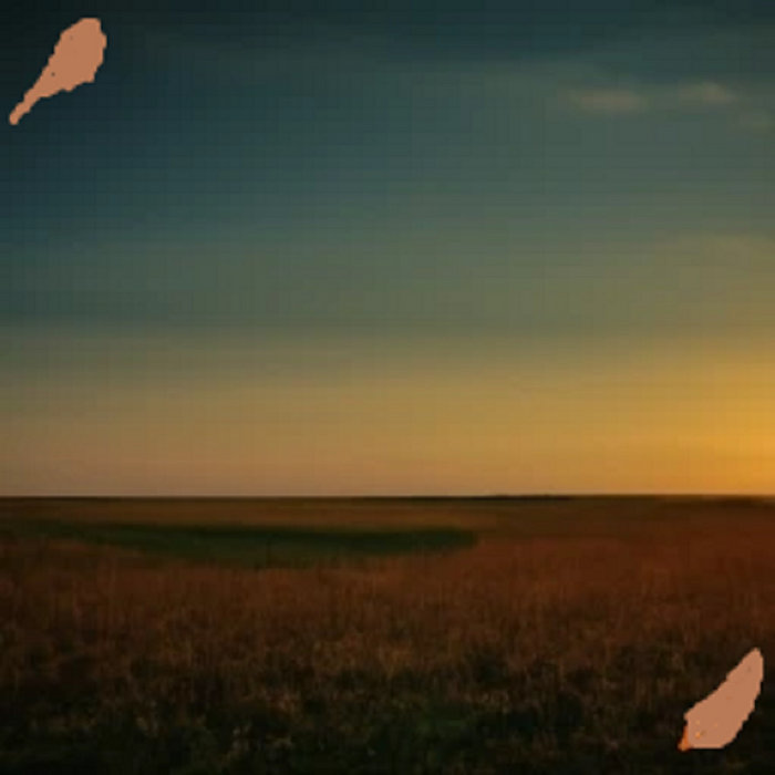 To The Dedicated | The Jaffa Kid