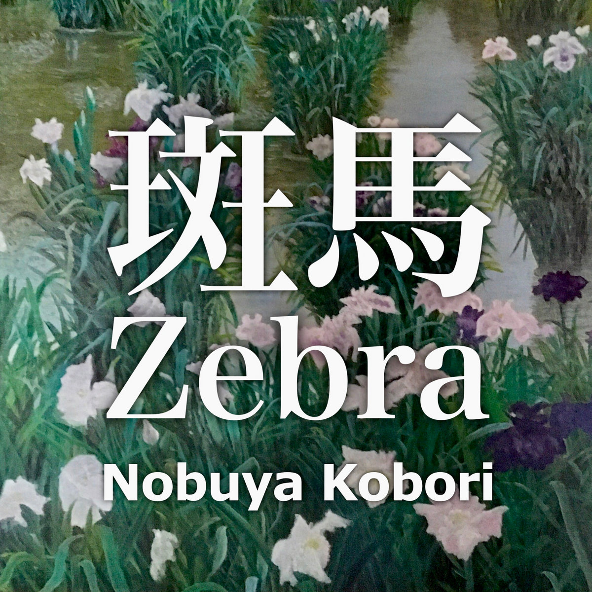 Zebra (斑馬) | Nobuya Kobori (小堀暢也)