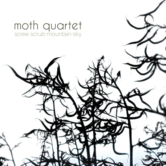 Scree Scrub Mountain Sky | Moth Quartet