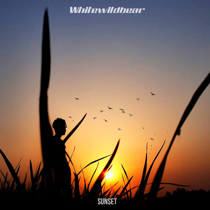 Sunset | Whitewildbear