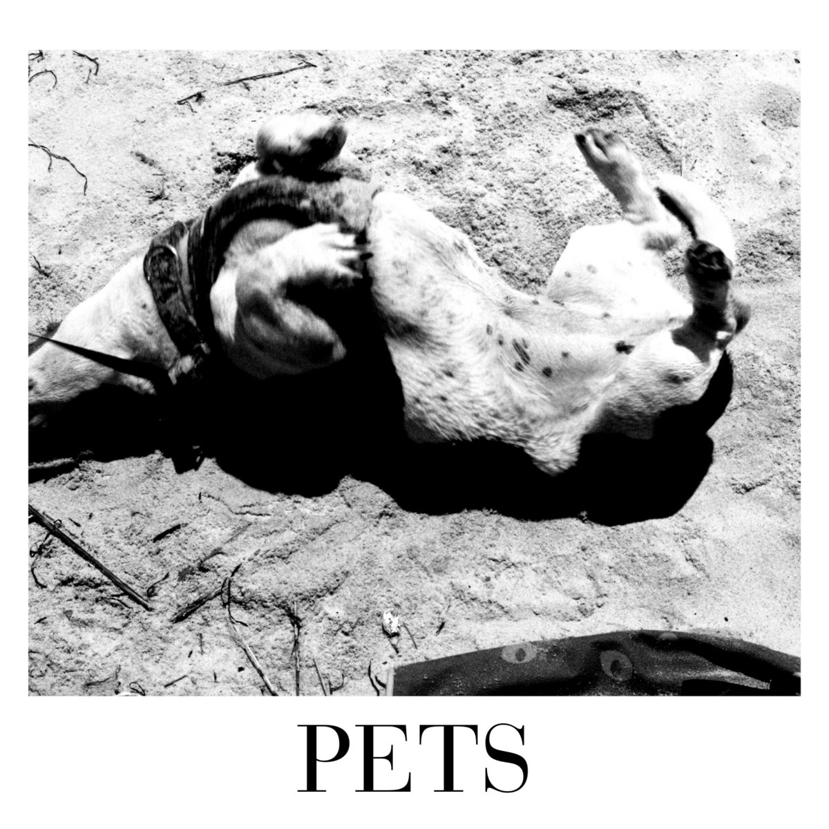 Pets (Porno For Pyros Cover) | Ruah