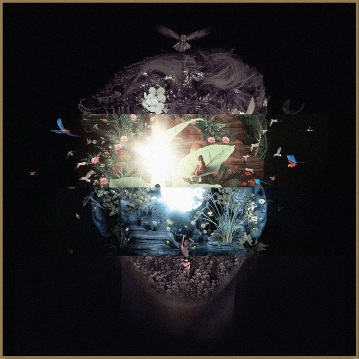 Iwa Deluxe [WFR034] | Montoya | White Forest Inc.