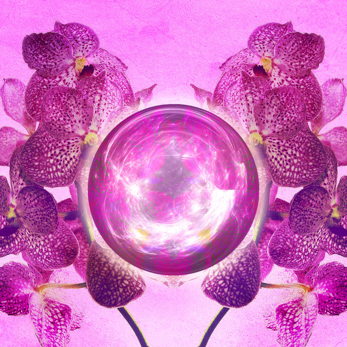 Delicate Moments | Mt. Analogue