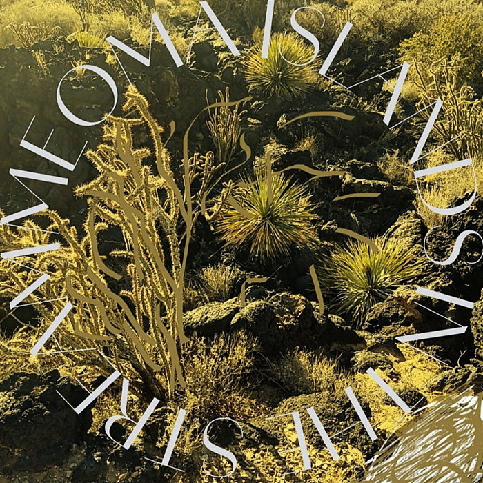 Islands In The Stream | Meoma | Delta Sound Records