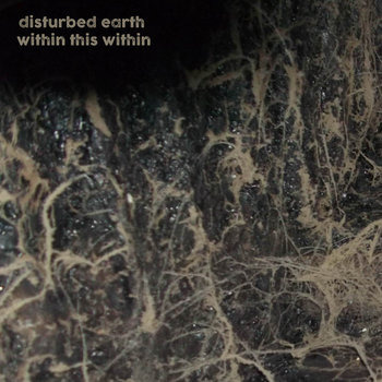 Music | Disturbed Earth