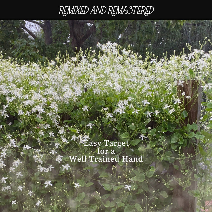 Easy Target for a Well Trained Hand | Cal Lamore | Aesthetic Headache ...
