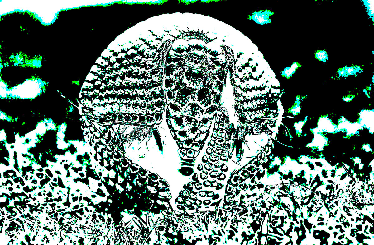 Molecular Structure | XYT | XY-Twistedstem