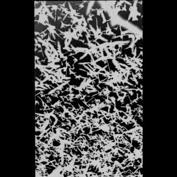 Music | Sewer Election