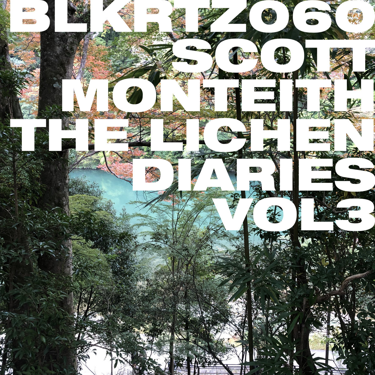 The Lichen Diaries vol 3 | Scott Monteith | Deadbeat