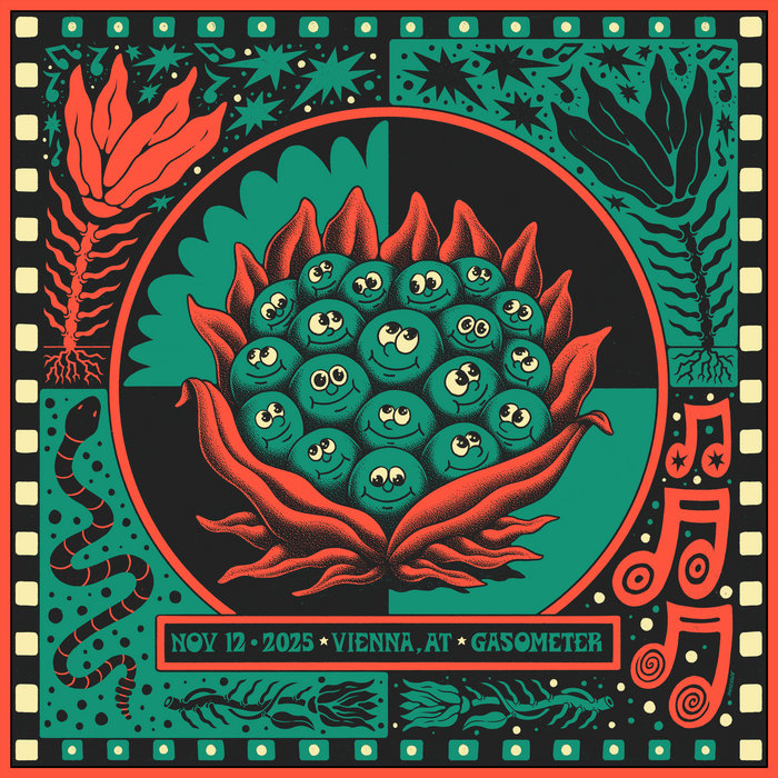 Live in Vienna '25 | King Gizzard & The Lizard Wizard | bootleg gizzard