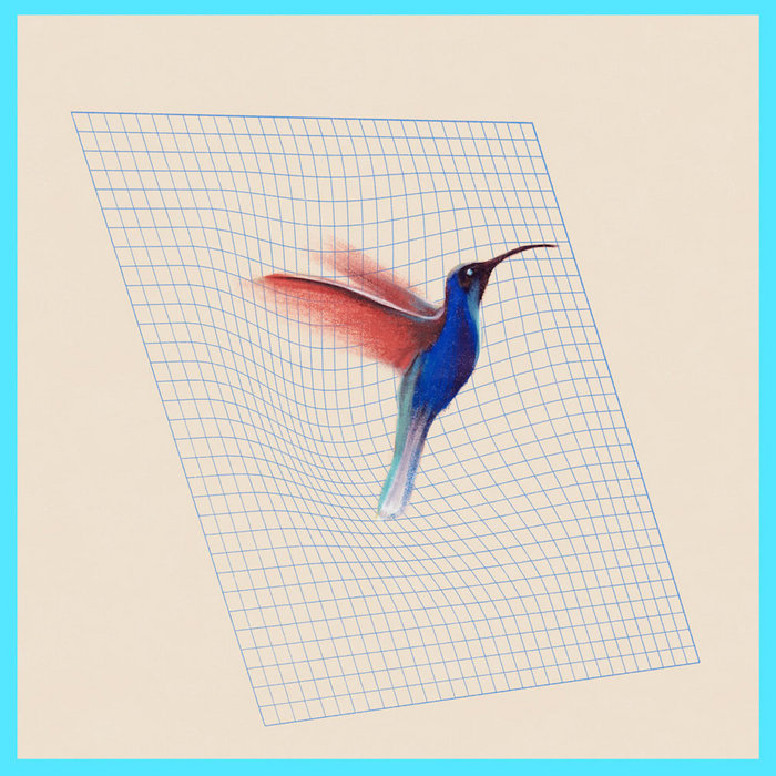 Lucas Hill | Lucas Hill