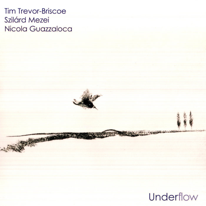 Underflow (2011) | TIM TREVOR-BRISCOE - SZILÁRD MEZEI - NICOLA ...