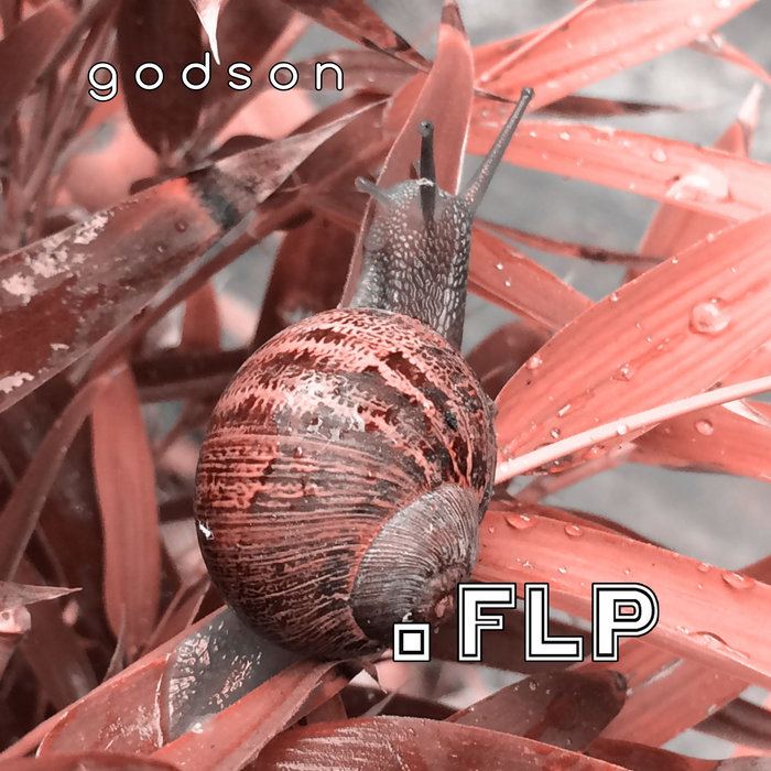 .FLP | Aaron Kaye