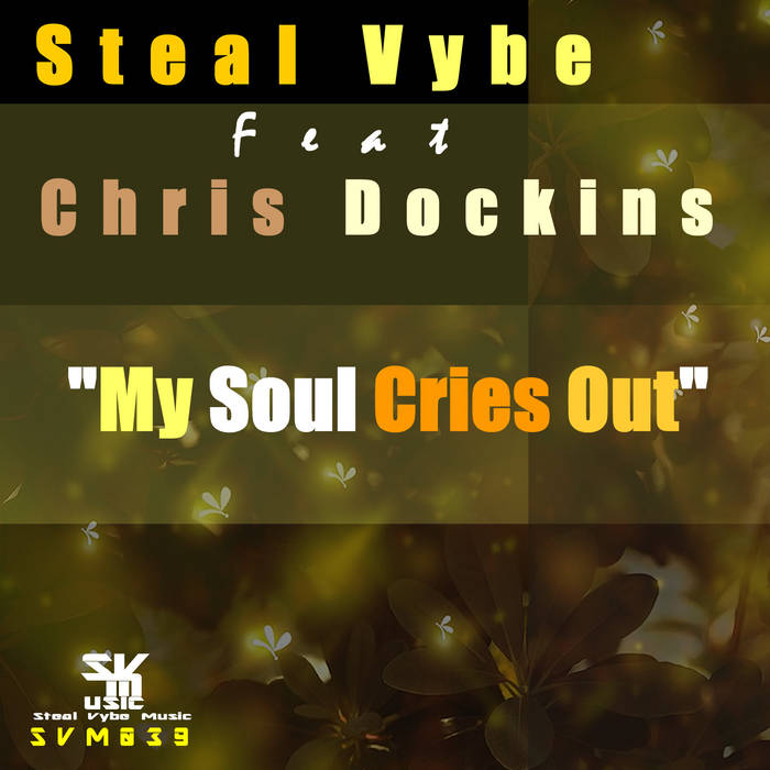 Steal Vybe feat. Chris Dockins – My Soul Cries Out | Steal Vybe