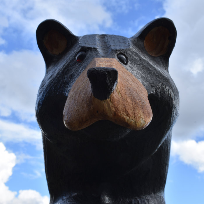 Alpha Bear | Scott Dunning | The Scott Dunning Extravaganza