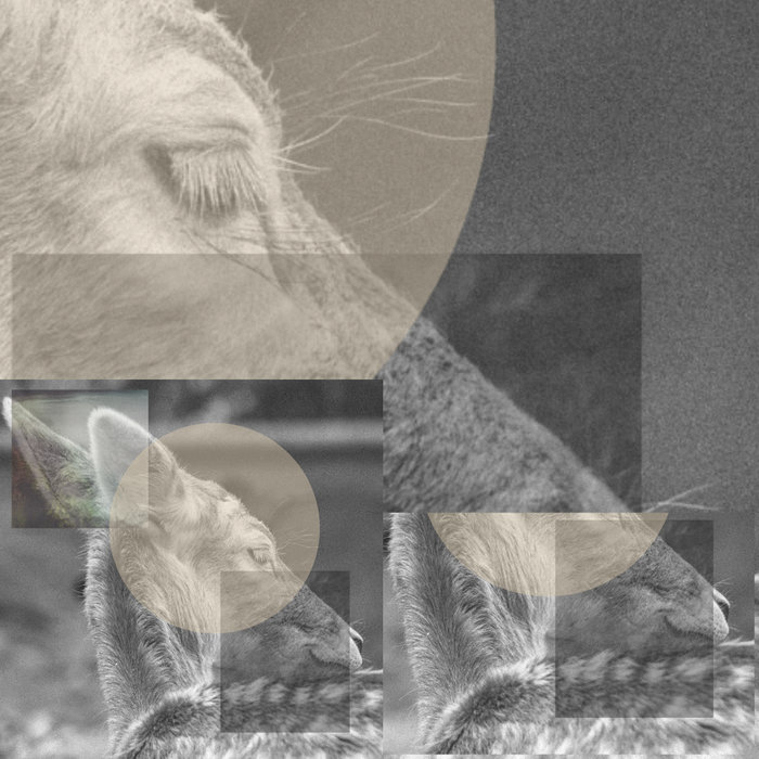 Ensayo de una Pesadilla | Denis Fabela