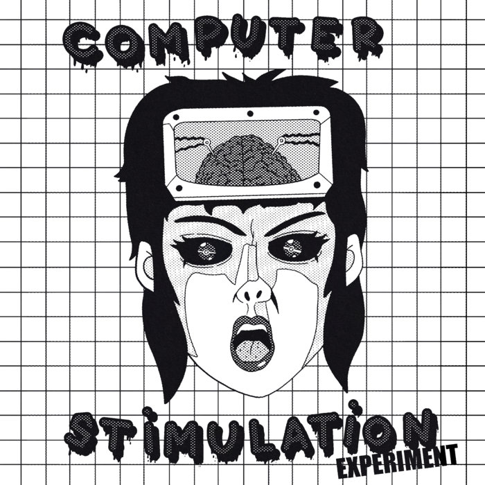 Computer Stimulation Experiment | SLOWPUNK